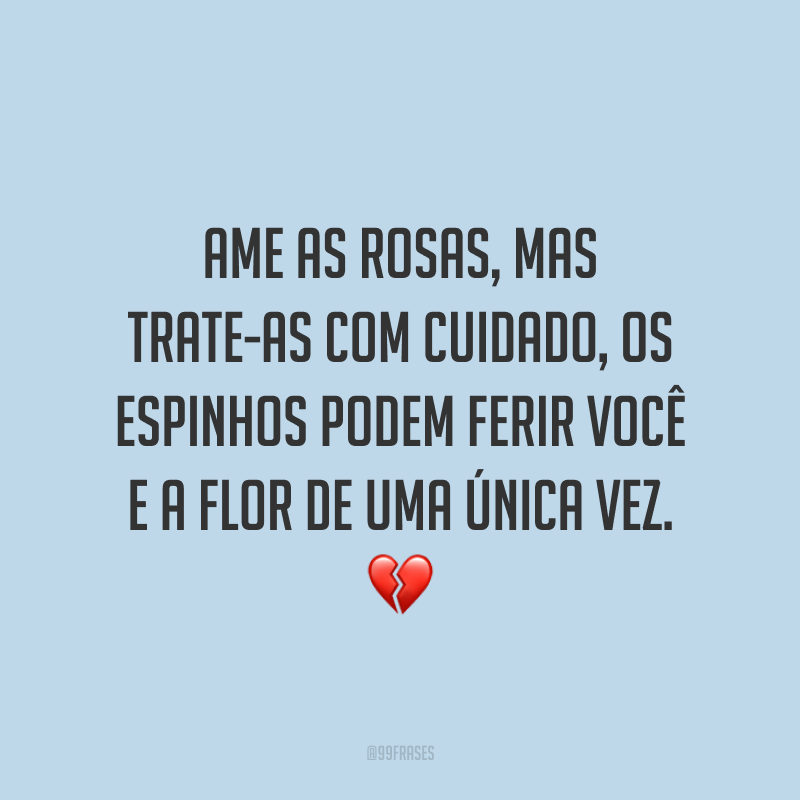 40 frases sobre rosas para colorir sua vida com a flor do amor