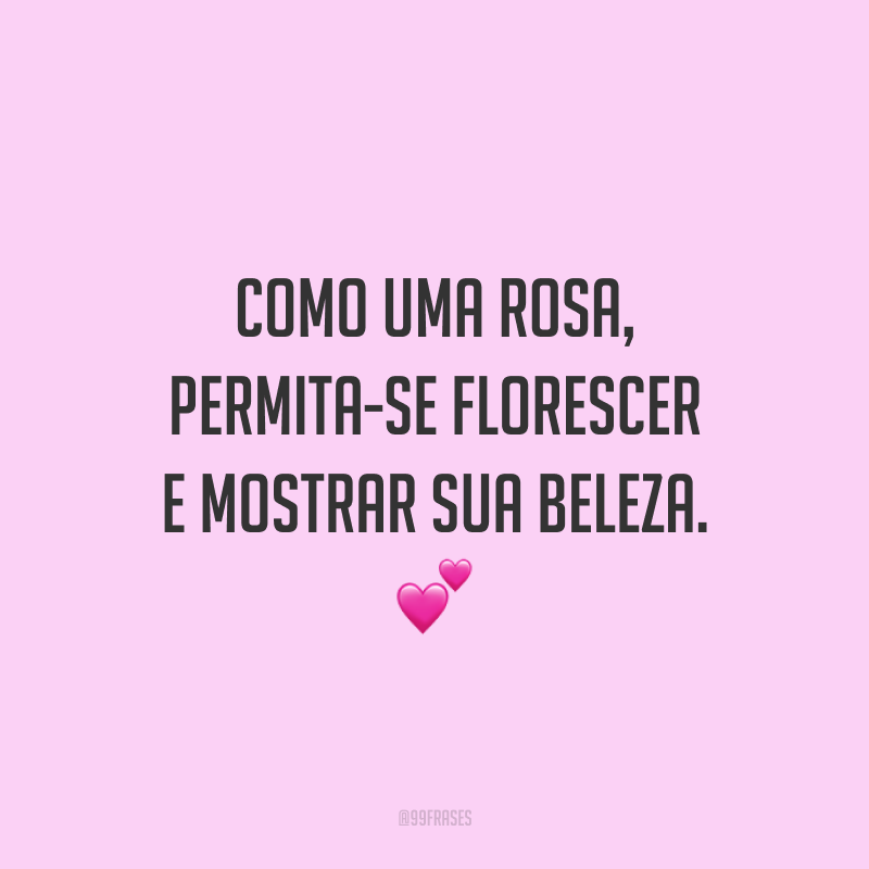40 frases sobre rosas para colorir sua vida com a flor do amor