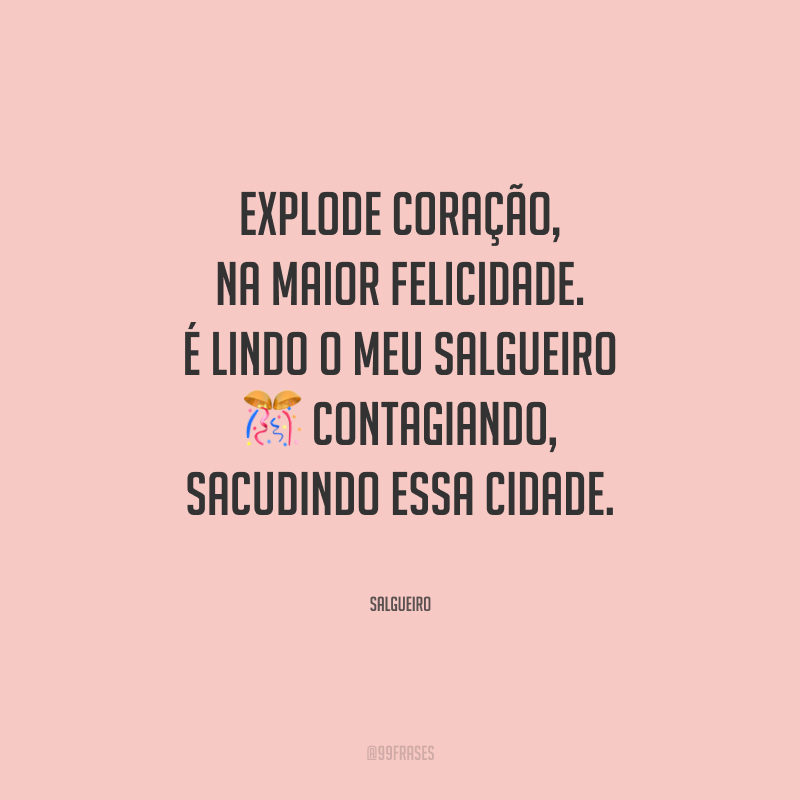 40 frases de samba para animar quem é bom sujeito sim