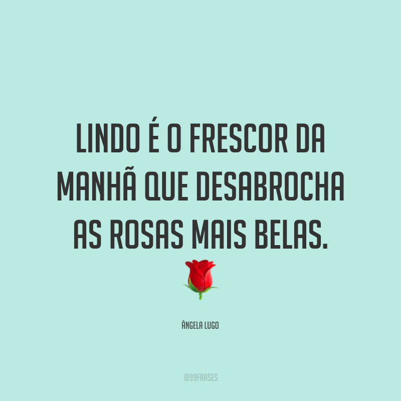 40 frases sobre rosas para colorir sua vida com a flor do amor