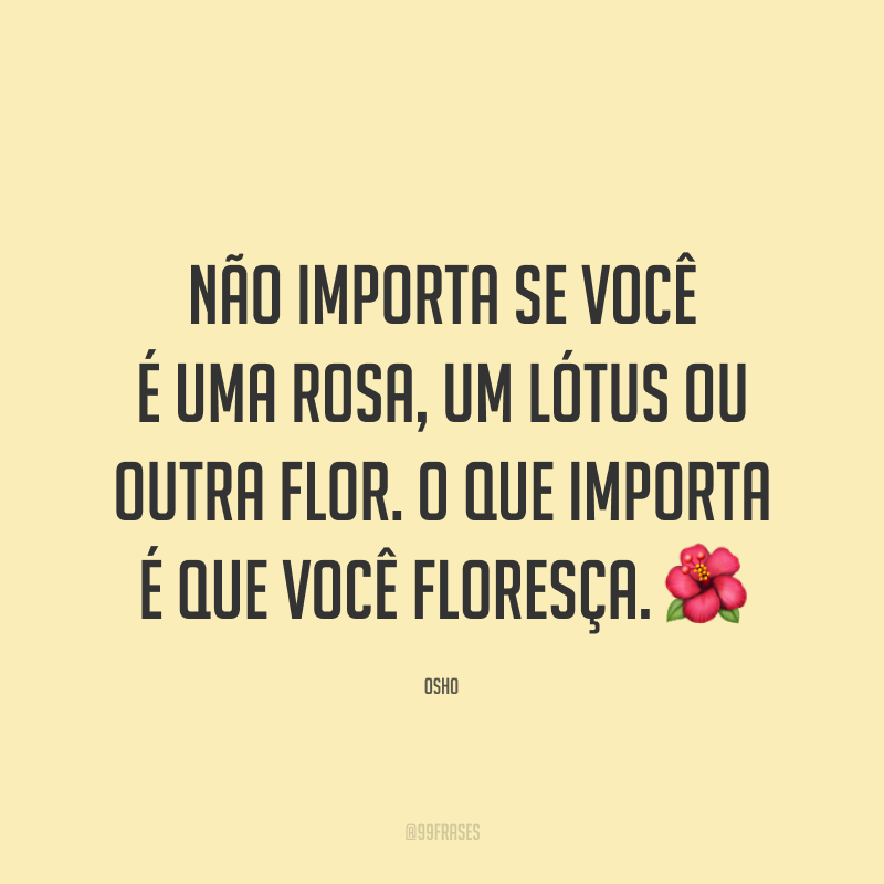 40 frases sobre rosas para colorir sua vida com a flor do amor