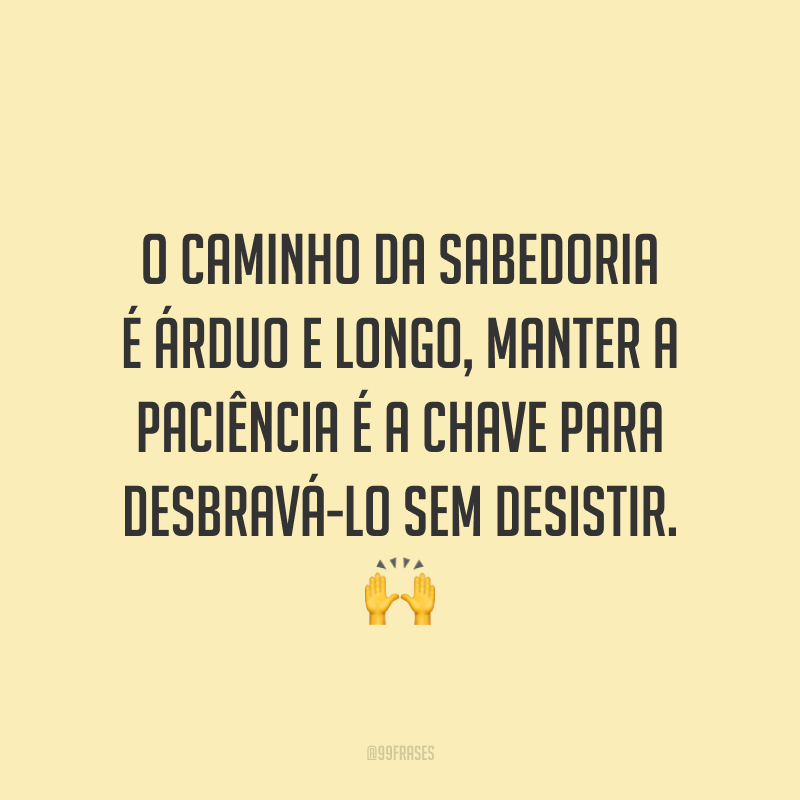 55 frases de sabedoria para viver buscando conhecimento
