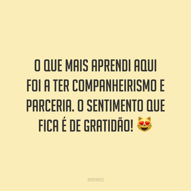 50 Frases De Despedida De Trabalho Com Gratidão Pelas Experiências