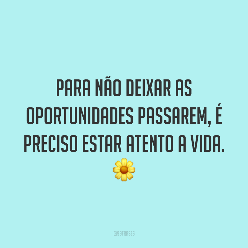 50 frases sobre oportunidades para se agarrar a cada uma delas